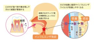 口腔ケアでインフルエンザを予防しよう！